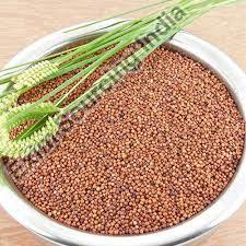 Finger Millet Supplier,Wholesale Finger Millet Distributor from ...