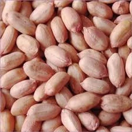 Natural Peanut Kernels, Shell Type : With Shell, Moisture : 5-10% at Rs ...