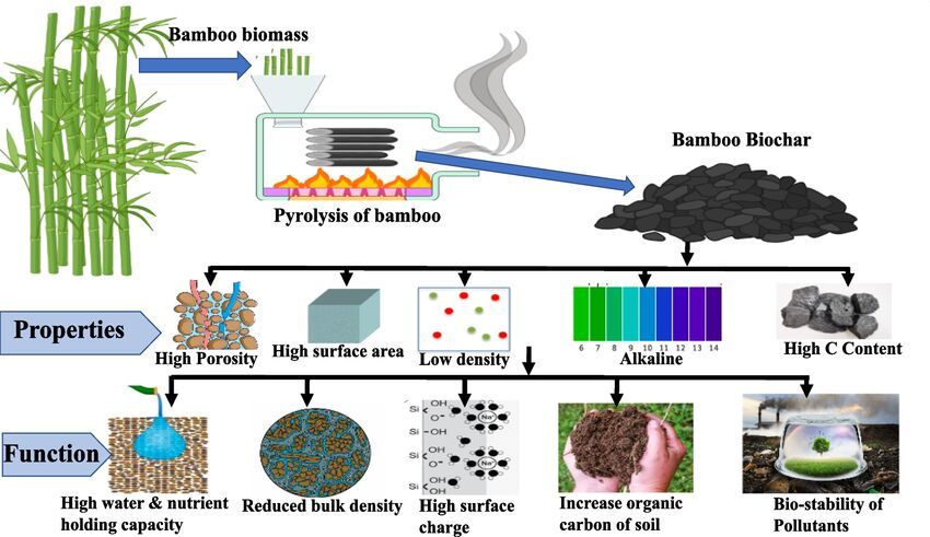 Bamboo Charcoal Powder, Color : Black at Rs 45 in Gandhinagar - ID: 8492697