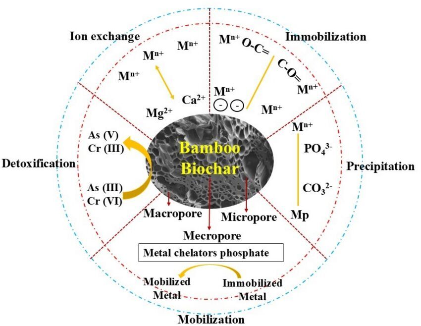 Bamboo Charcoal Powder, Color : Black at Rs 45 in Gandhinagar - ID: 8492697