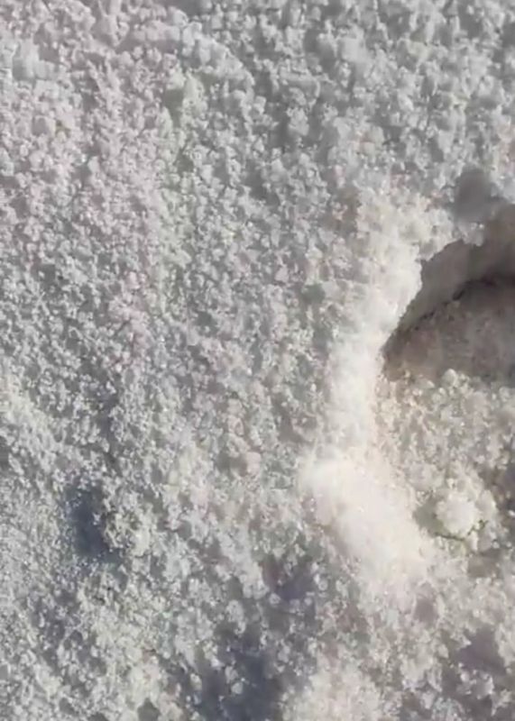 Sodium Chloride Table Salt, Color : White Fine, Coarse at Rs 130 in ...