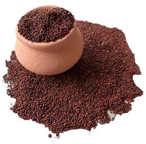 Shri Ganesh Industries in Raigarh - Manufacturer of Red Mustard Seeds ...