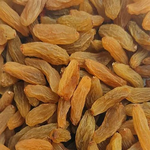 Aaa Grade Long Golden Raisins, Packaging Type : 10 Kg Carton at Rs 1590 ...