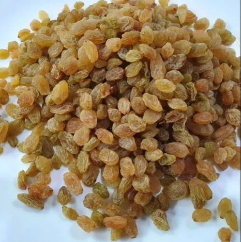 Dried Raisin, Color : Brown, Taste : Light Sweet at Rs 200 in Delhi ...