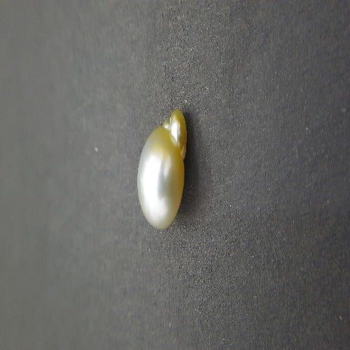 Certified Burma Moti, Color : Varies at Rs 5999 in Kolkata - ID: 8034135