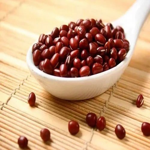 Adzuki Beans, Color : Red, Speciality : Nutritious, Easy To Cook at Rs 100 in Kandhamal