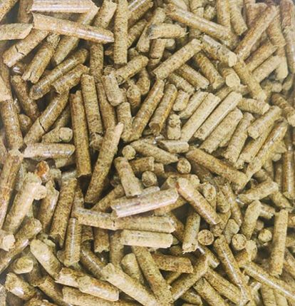 Pure Poplar Pellets, Color : Natural Wood Color at Best Price in Meerut ...