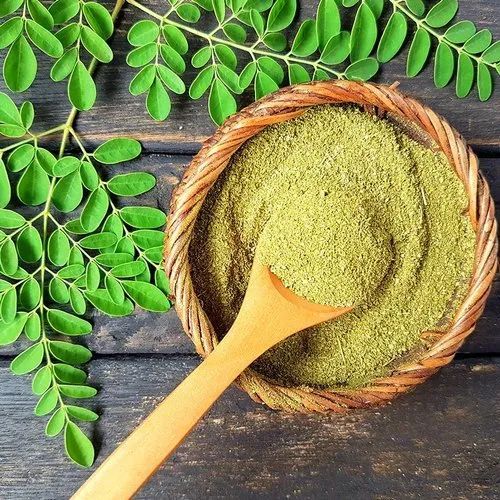 Blended Organic Moringa Powder, Color : Green at Rs 1200 in Surat - ID ...