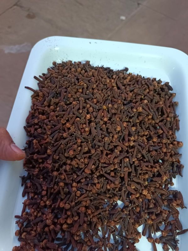 Traders Champ ( The Digitopedia Technologies Pvt Ltd ) in Bangalore ...