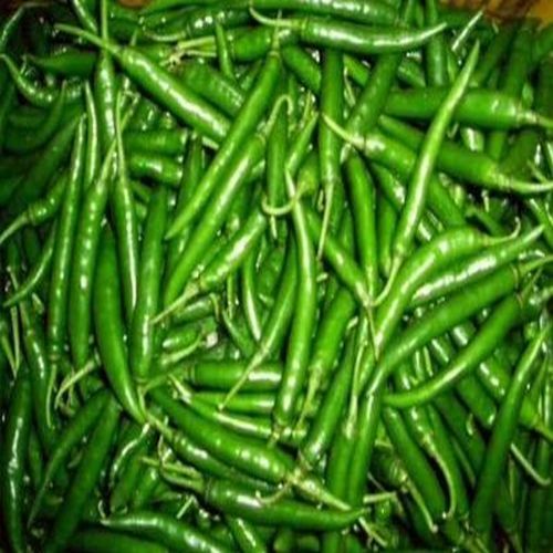 Organic Fresh Green Chilli, Packaging Size : 25-50kg at Rs 300 in East ...