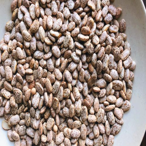Pinto Beans, Packaging Type : PP Bag at Best Price in Agra - ID: 8211790