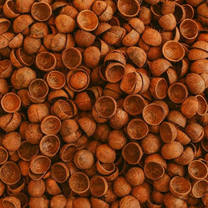 Common Coconut Shell, Color : Brown Dried at Rs 30 in Porayar - ID: 8339698