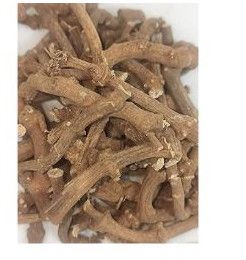 Wild Spices India Pvt. Ltd. in Tirupati - Supplier of Arabica Parchment ...